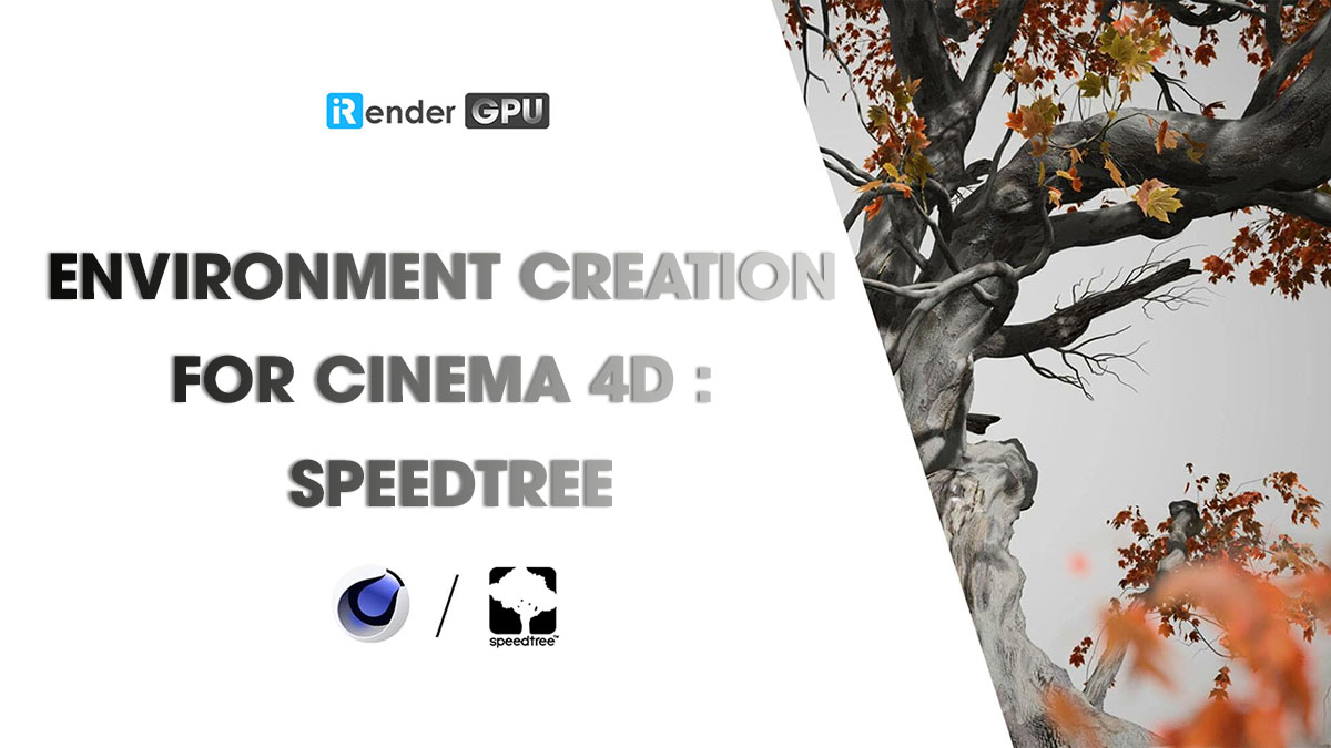Tạo môi trường cho Cinema 4D (Phần 1): SpeedTree - iRender