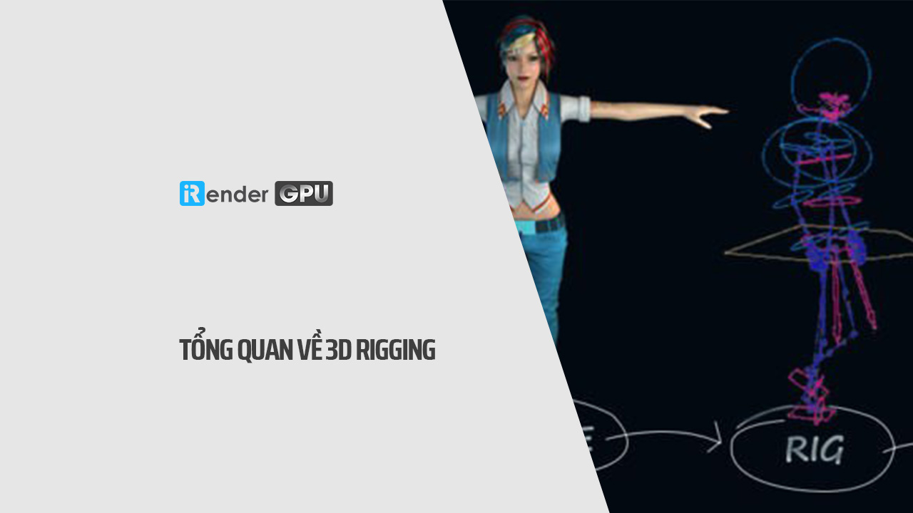 Tổng quan về 3D Rigging - iRender - Remote RenderFarm
